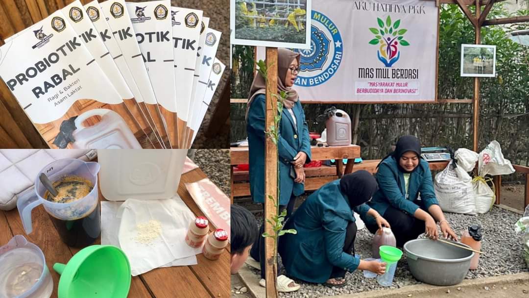 Mahasiswa KKN Undip Terapkan Inovasi Probiotik Budidaya Ikan Lele di ...
